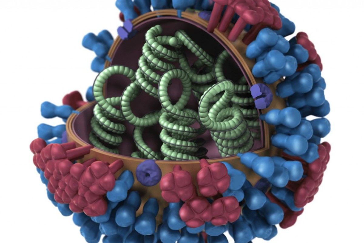 New Drug Inspired by Ibuprofen Protects Against Flu | Discover Magazine