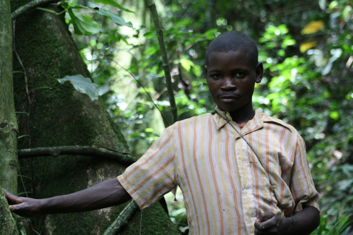 Pygmies' Small Stature Evolved Multiple Times | Discover Magazine