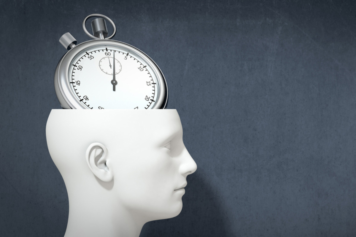 The Brain's Internal Odometer and Stopwatch | Discover Magazine