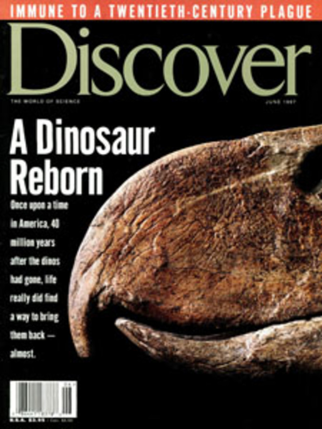 June Issue | Discover Magazine