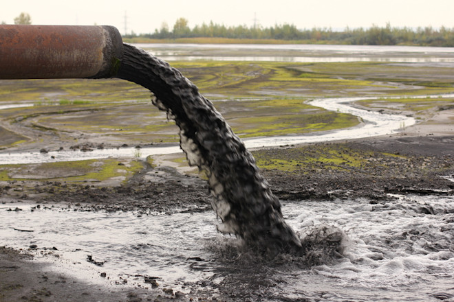 Sewage Sludge Could Transform Into Food for Animals or Fuel for Cars ...