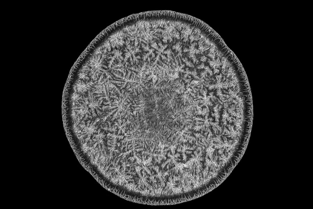 Up Close With a Human Teardrop | Discover Magazine