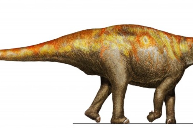 Galeamopus Pabsti: A New Whip It Good Dinosaur | Discover Magazine