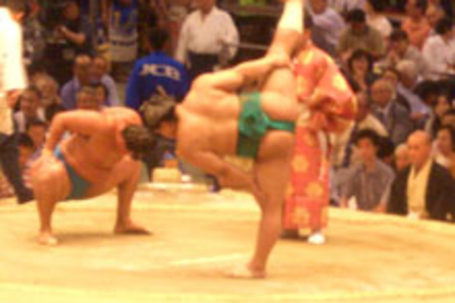Scientists May Have Discovered Natural Sumo Elements | Discover Magazine