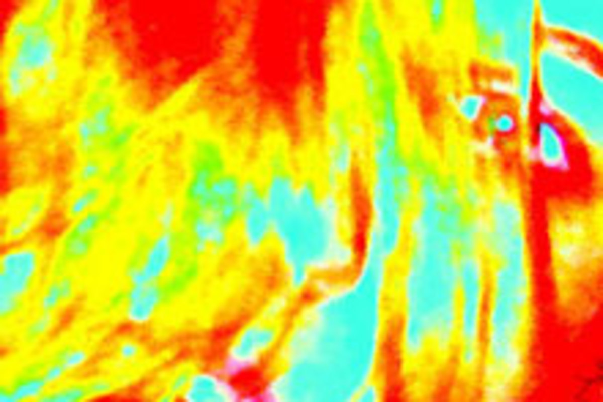 Modern Bedfellows: LSD Inventor Wrote to Steve Jobs, Asked for Support ...