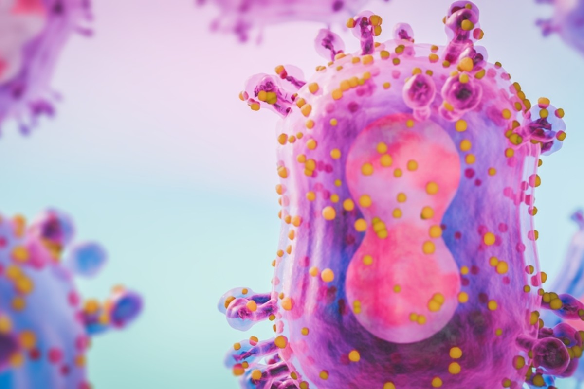 The Mysterious Source Behind the Monkeypox Virus Is a Squirrel ...
