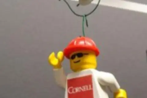 Beetle-Inspired Adhesive Lifts Lego Man; Could One Day Do Same for ...