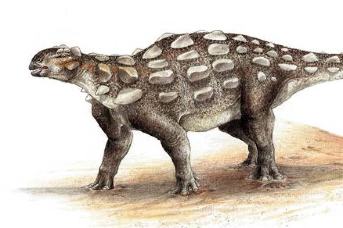 100-Million-Year-Old Footprints Reveal a New Armored, Club-Tailed ...