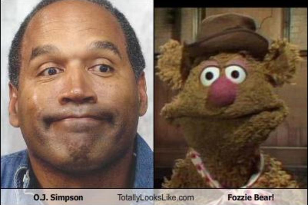 NCBI ROFL: The teddy-bear effect: does having a baby face benefit black ...