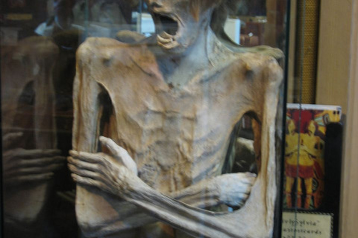 NCBI ROFL: 101 uses for a dead body (mummification optional ...