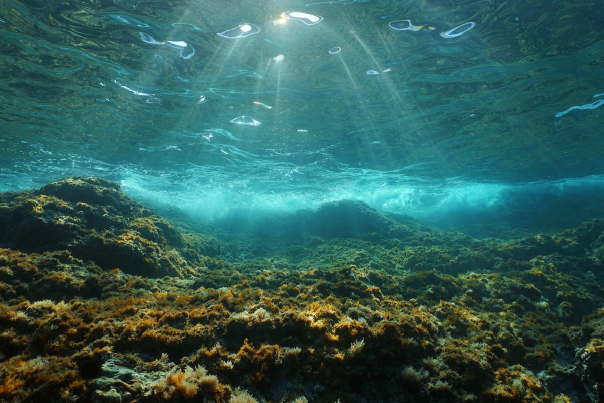 The Zanclean Megaflood Was One of Earth’s Most Dramatic Events 5.3 ...