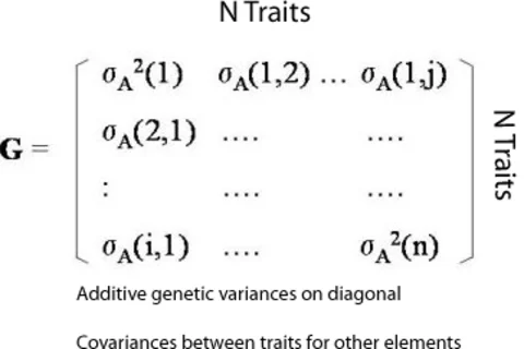The G matrix, pleiotropy and quantitative traits | Discover Magazine