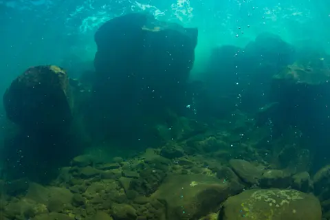 The Axial Seamount Volcano Could Still Erupt in 2025, and Benefit ...