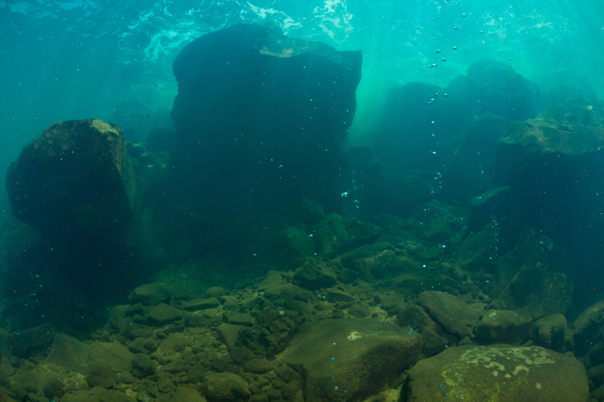 The Axial Seamount Volcano Could Still Erupt in 2025, and Benefit ...