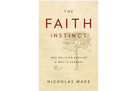 The Faith Instinct: How Religion Evolved & Why It Endures | Discover ...