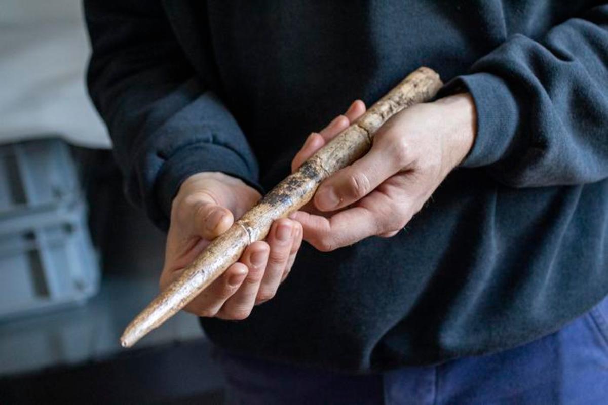 20,000-Year-Old Whale Bone Tools Discovered in Europe Considered World ...