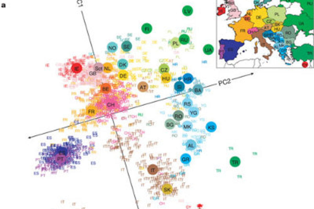 Really fine grained genetic maps of Europe | Discover Magazine