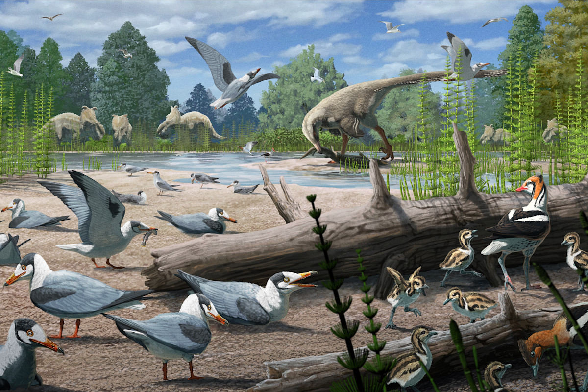 Birds Nested Alongside Dinosaurs in Alaska 73 Million Years Ago ...