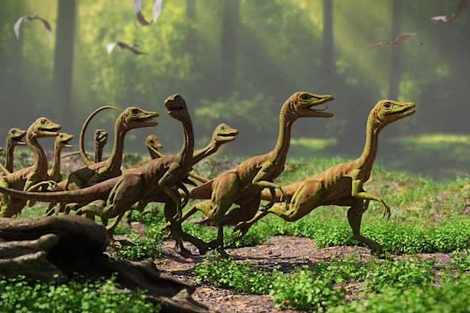 The Smallest Dinosaur Ever Was Just 11 Inches Long, and Had Beautiful ...