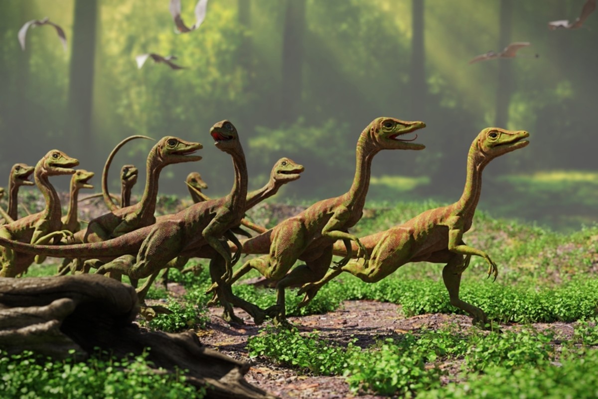 The Smallest Dinosaur Ever Was Just 11 Inches Long, and Had Beautiful ...
