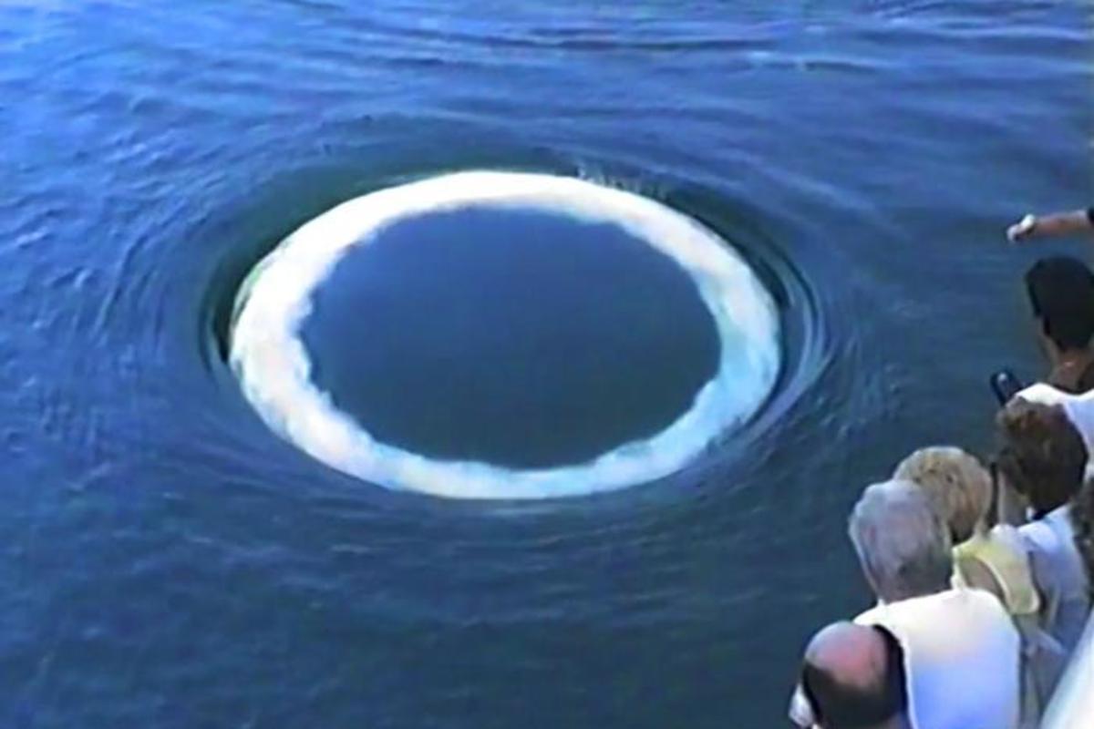 Humpback Whales Offer Humans Giant Bubble Smoke Rings as a Token of ...