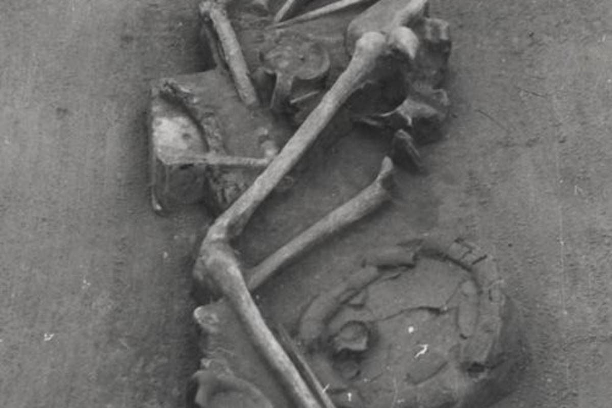 3,500-Year-Old Teeth Identify Turning Point in Bronze Age History of ...