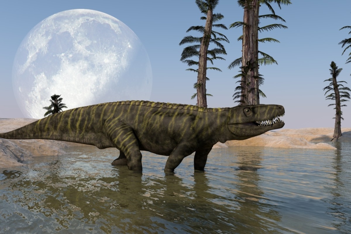 Triassic Reptiles Traveled a 10,000-Mile-Long Dead Zone, Leading to ...