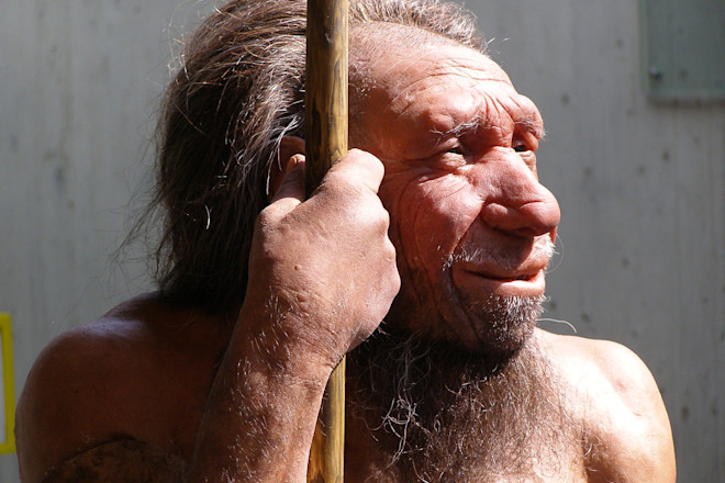 20 Things You Didn't Know About ... Neanderthals | Discover Magazine