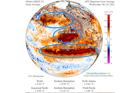 Godzilla, The Blob, and Son of Blob: an El Niño reality check ...