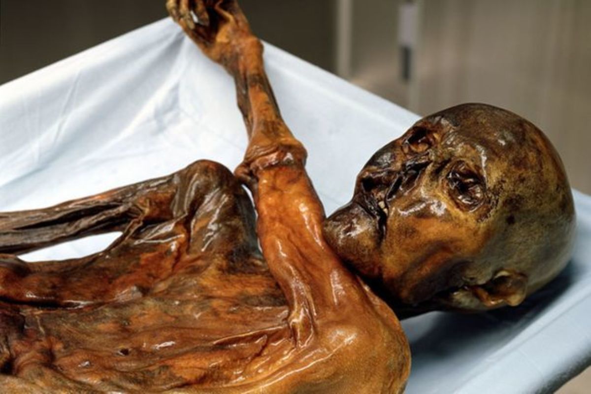 Finding Meaning Behind 5,300-Year-Old Ötzi the Iceman's 61 Tattoos ...