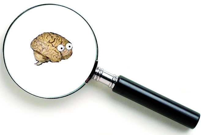 The Myth of The 30 IQ Point "Communication Range" | Discover Magazine