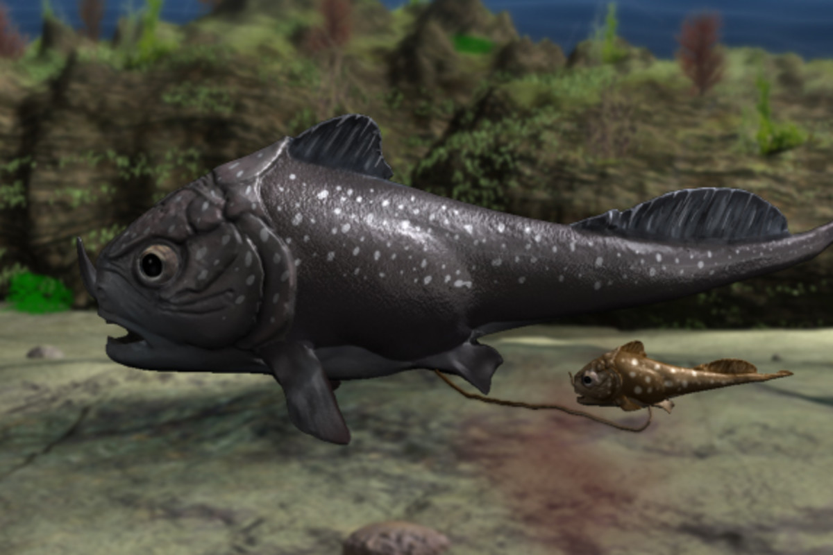 Your Weekly Attenborough: Materpiscis attenboroughi | Discover Magazine