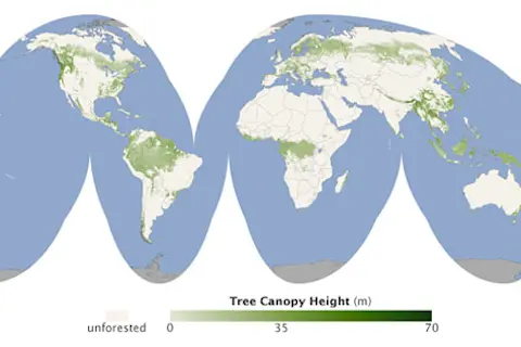 NASA Satellites Use Lasers to Map the World’s Tallest Forests ...