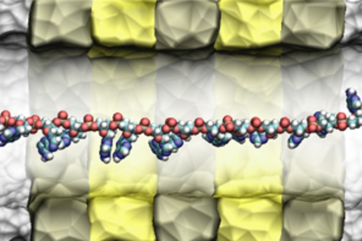 IBM’s “DNA Transistor” Could Sequence Genomes on the Cheap | Discover ...