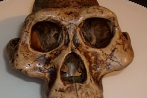 The Australopiths: Our Ancient, Ape-like Forefathers | Discover Magazine