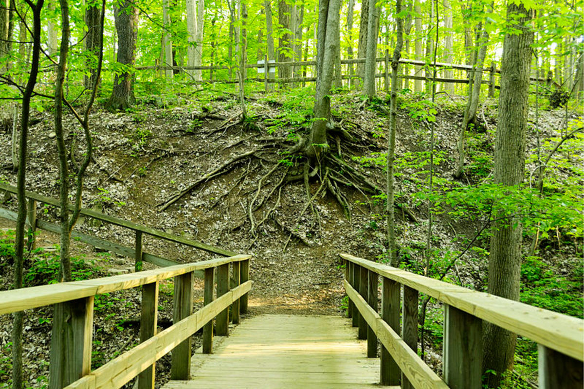 Human Impact: Climate Change and Citizen Science | Discover Magazine