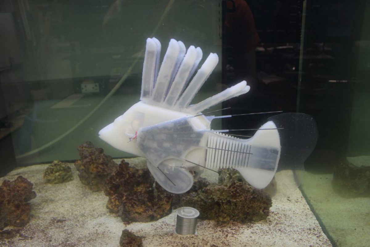 This Robot Fish Has ‘Blood’ That Doubles As Its Muscles | Discover Magazine