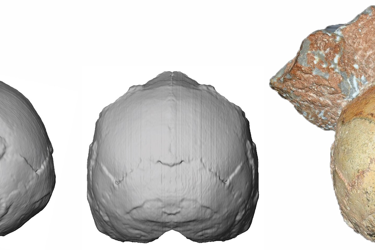 Scientists Find The Oldest Human Skull Outside Of Africa Discover