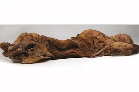 Surprise: Ancient Inuit Mummy Scans Reveal Possible Heart Disease ...