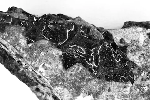 The Eruption of Mount Vesuvius Turned This Ancient Victim's Brain to ...