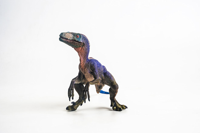 What Color Were Dinosaurs? | Discover Magazine