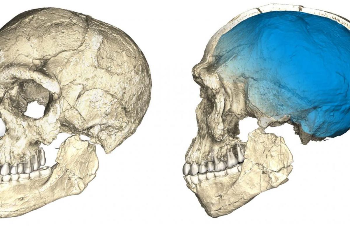 When Did Homo Sapiens First Appear? | Discover Magazine
