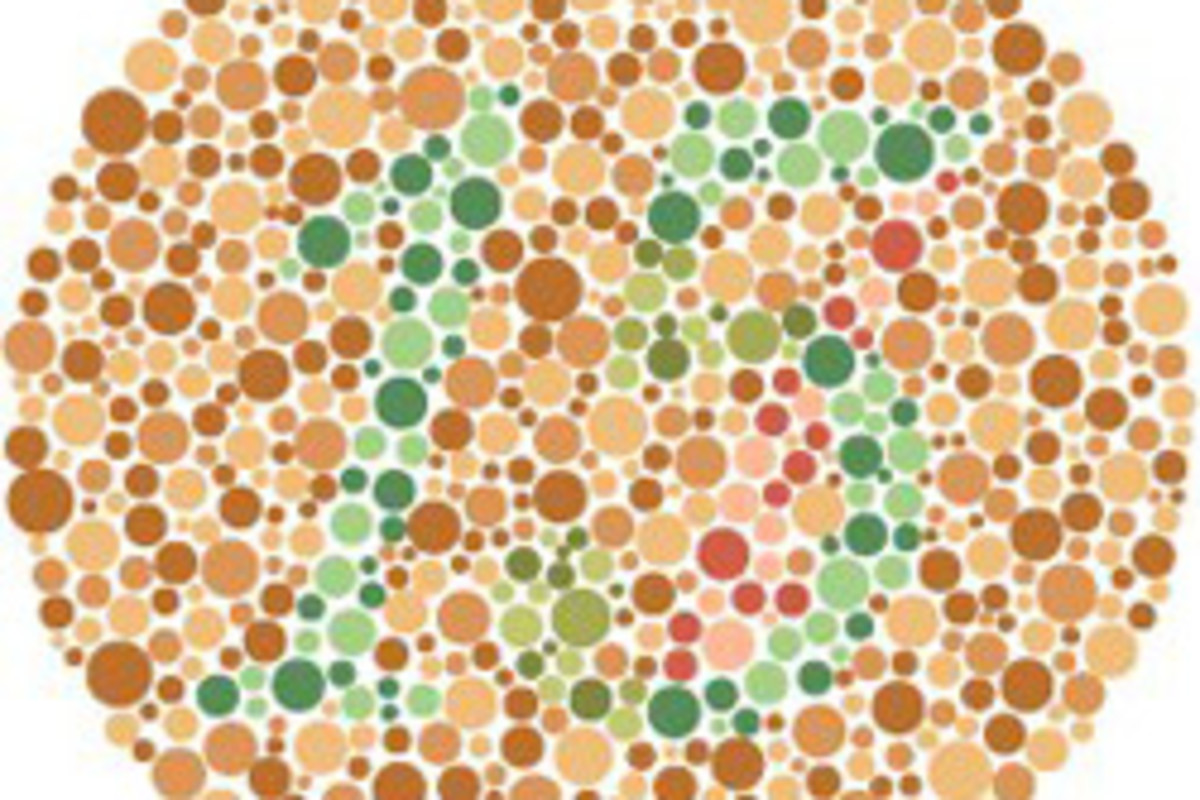 How Much Color Do We Really See? | Discover Magazine