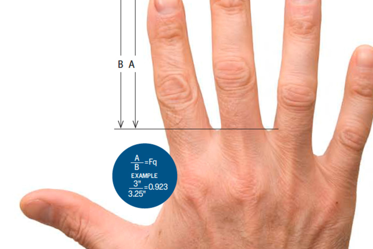 Finger Length Predicts Health and Behavior | Discover Magazine