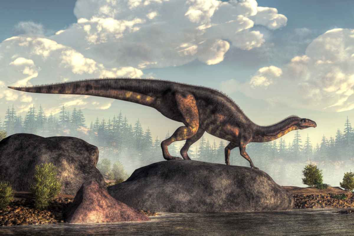 How the Triassic Extinction Helped Dinosaurs Take Over the Planet ...