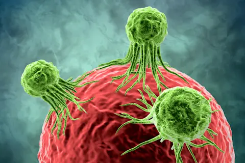 The Cancers That Are Contagious | Discover Magazine