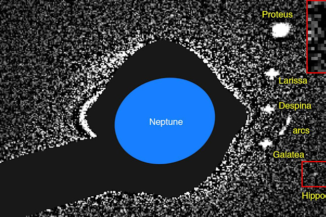 Meet Neptune's New Moon, Hippocamp | Discover Magazine