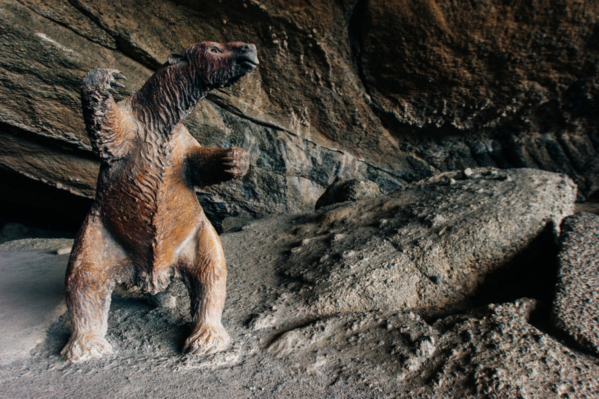 Here Are Some of Darwin’s Strangest Animal Discoveries | Discover Magazine