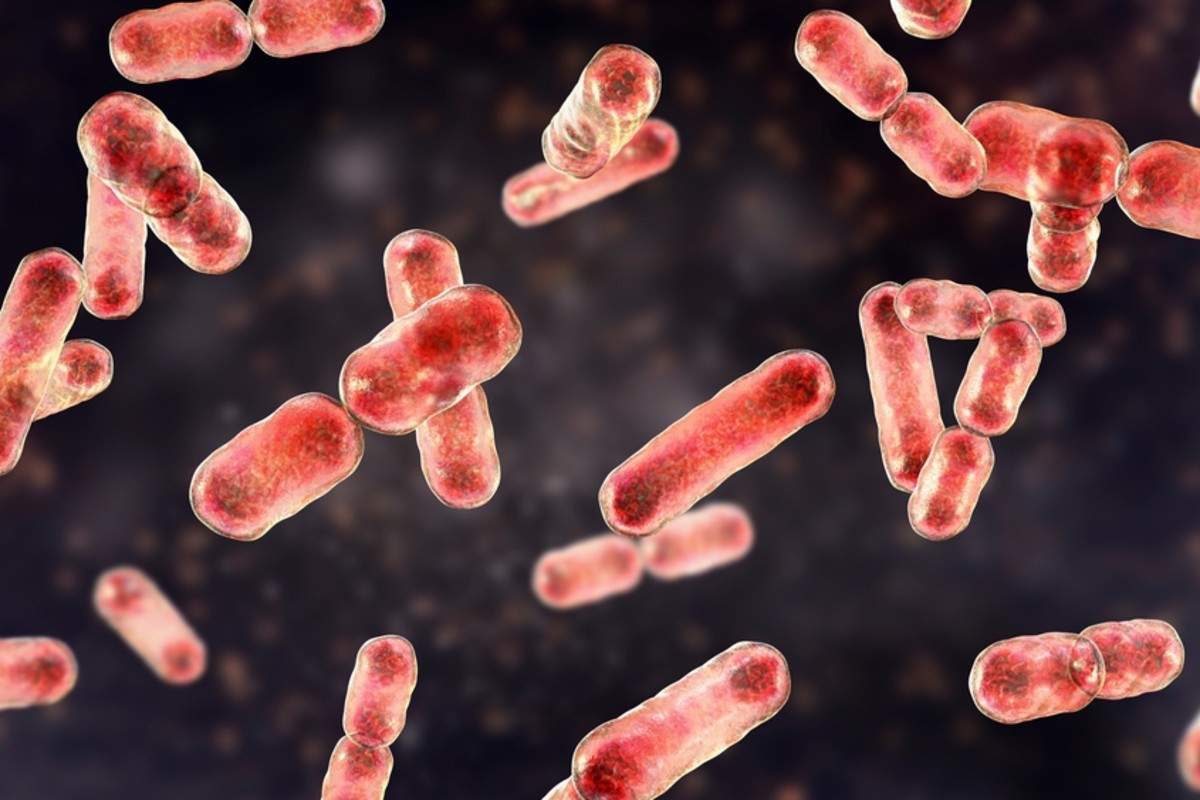 What We Can Learn from Babies’ Gut Microbiomes | Discover Magazine