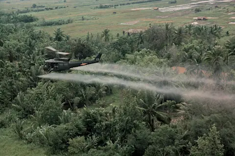 Agent Orange: A Potent Herbicide with Damaging Health Effects ...